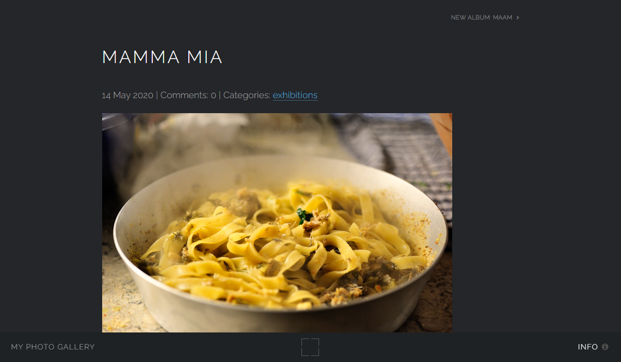 single-new-desktop | Multiverse | Themes | ZenphotoCMS - The simpler ...